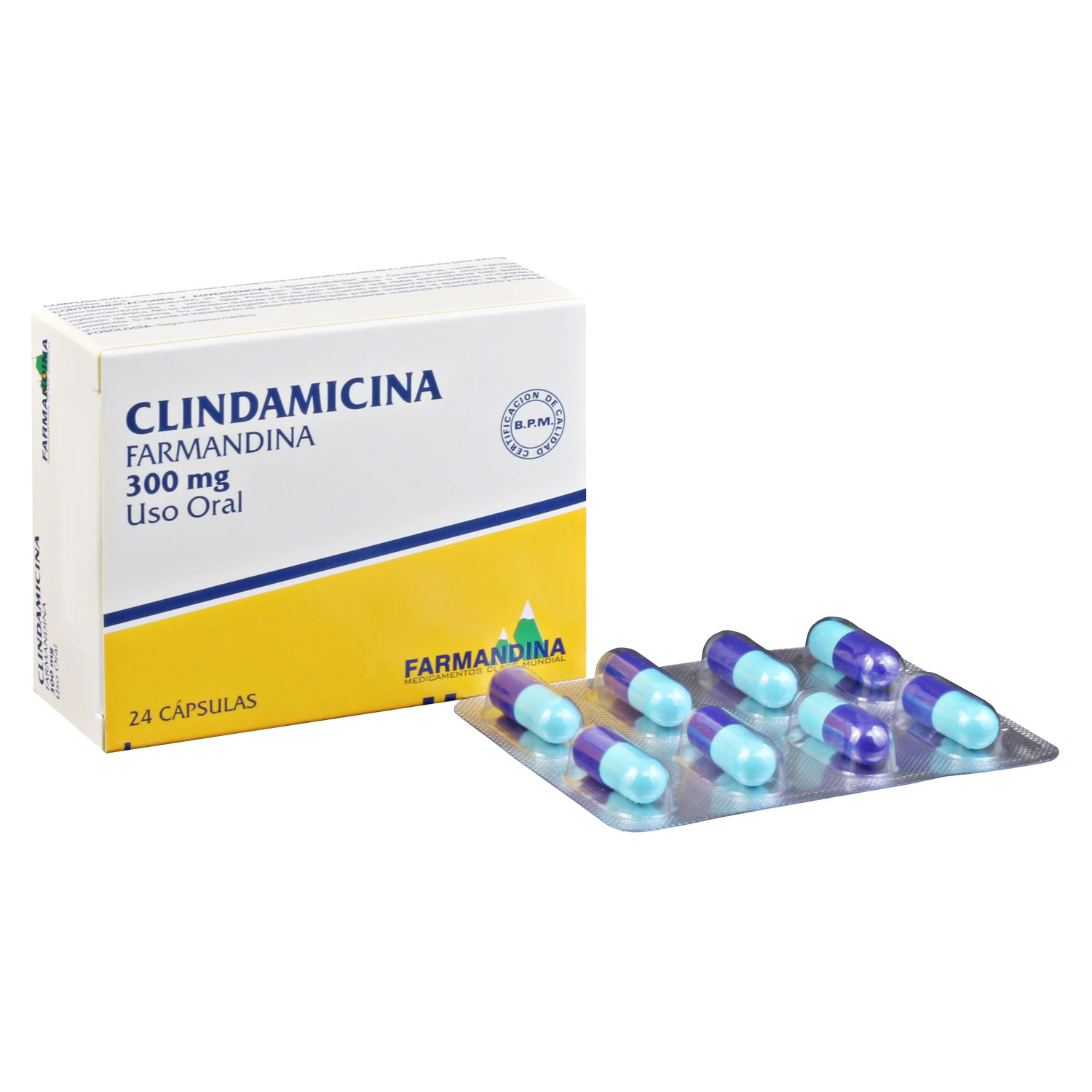 CLINDAMICINA FARMANDINA 300MG 24 CAPSULA - Distribuidor de Farmandina