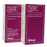 PENDIBEN 2.400.000 1 SOLUCION INYECTABLE – Medikamentos.com